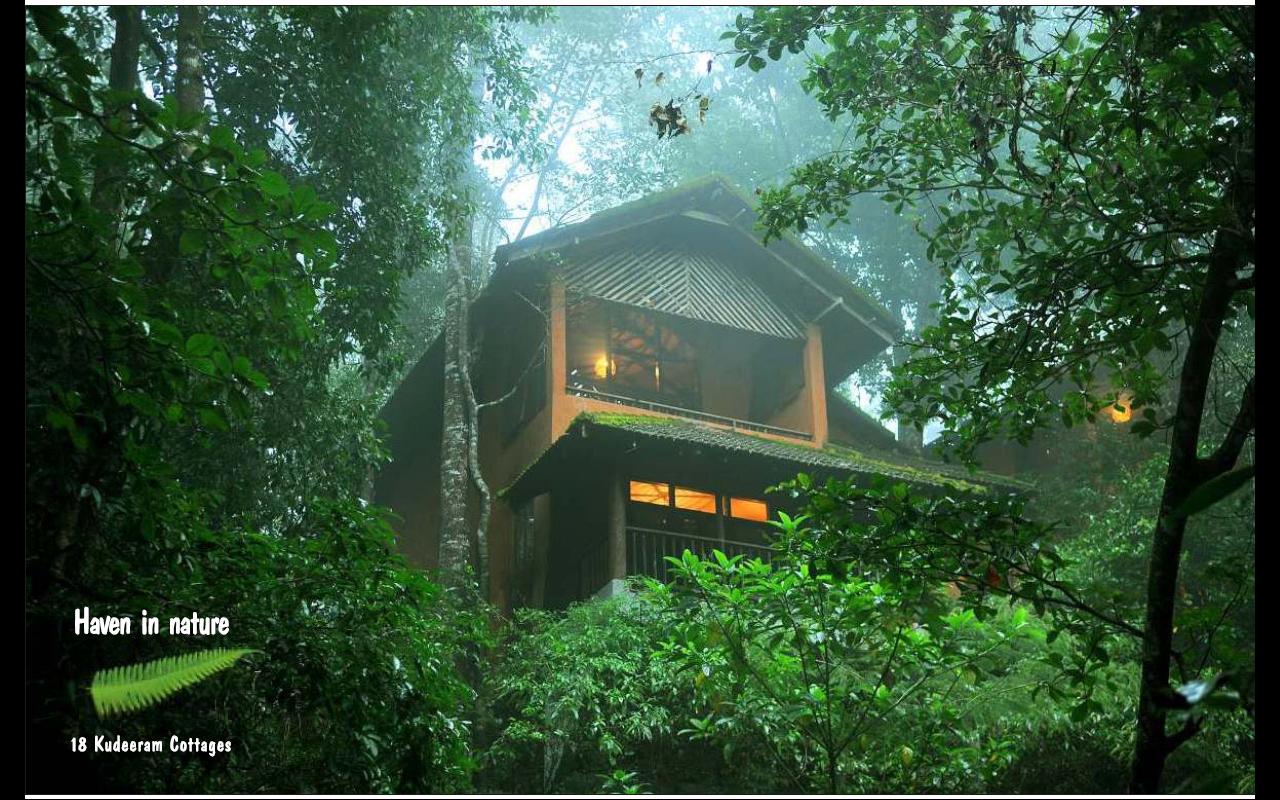 Tree-house-Vythiri - Kerala Tourism & Travel Blog