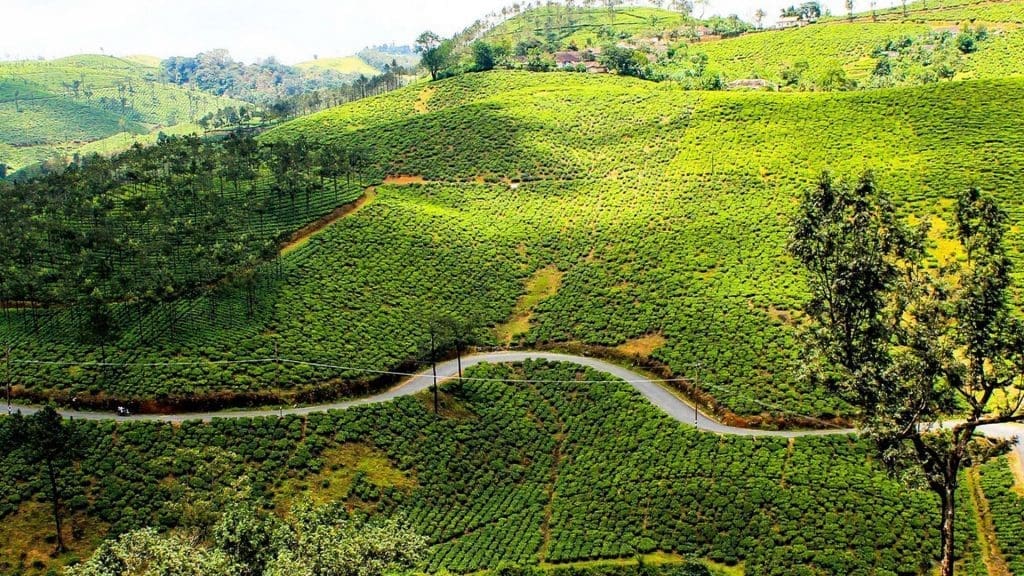 7 Best Things To Do In Vagamon – Iris Holidays