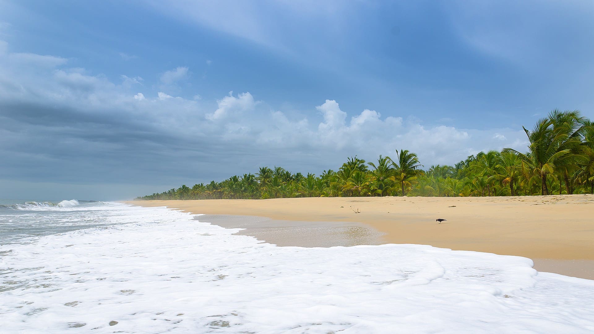 Marari Or Alleppey-Which Is The Best Beach To Visit? – Iris Holidays