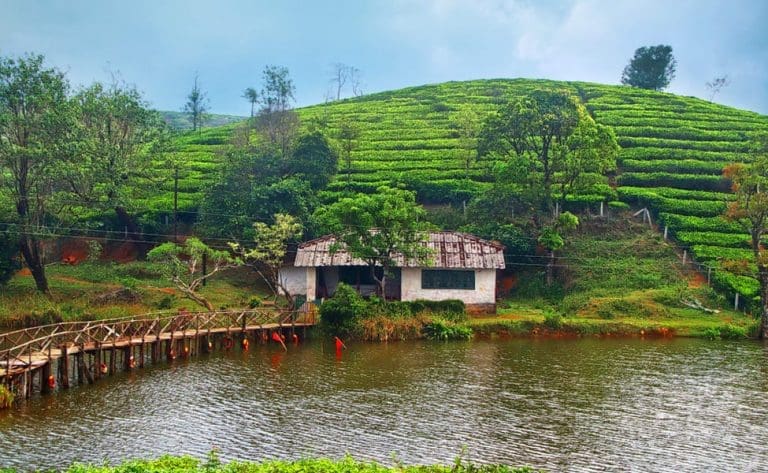 7 Best Things To Do In Vagamon – Iris Holidays