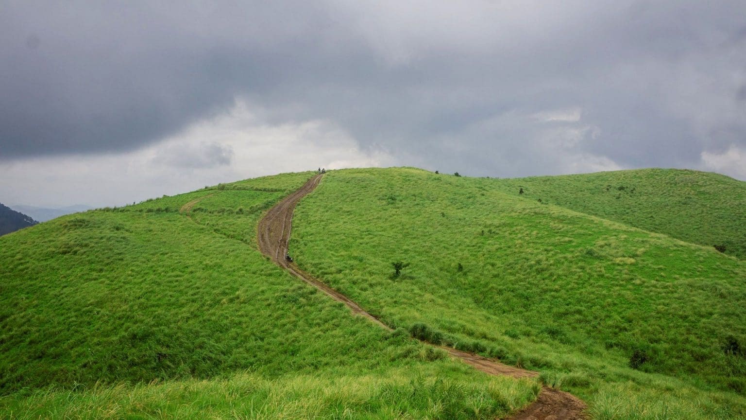 Kochi To Vagamon-How To Plan Your Trip? – Iris Holidays
