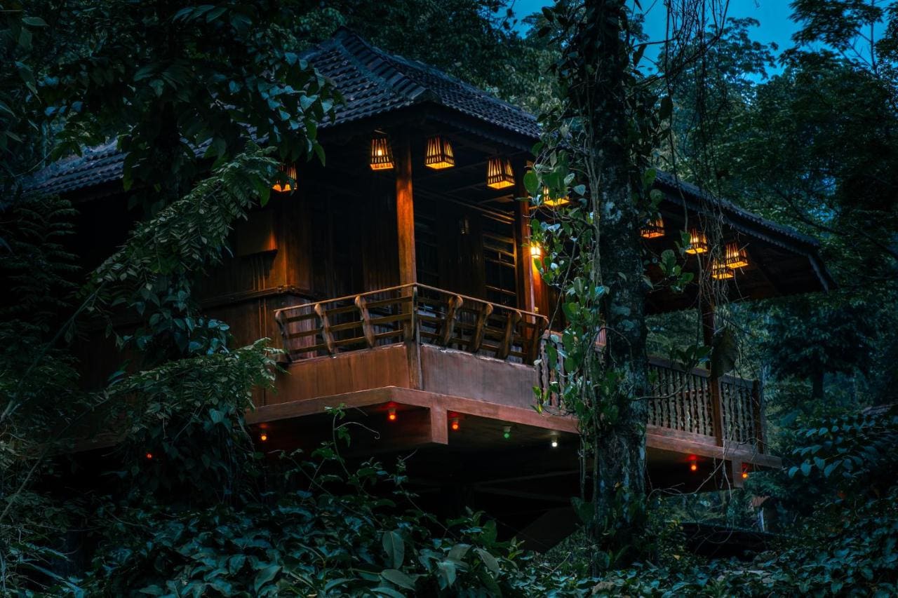 18 Best Treehouse Resorts In Kerala For A Dreamy Stay! – Iris Holidays