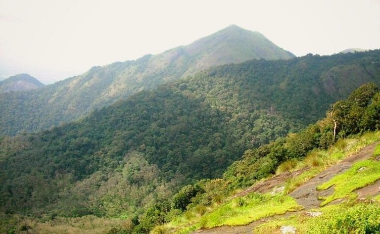 Nelliyampathy Tourist Places-Top-Rated Attractions & Things To Do ...