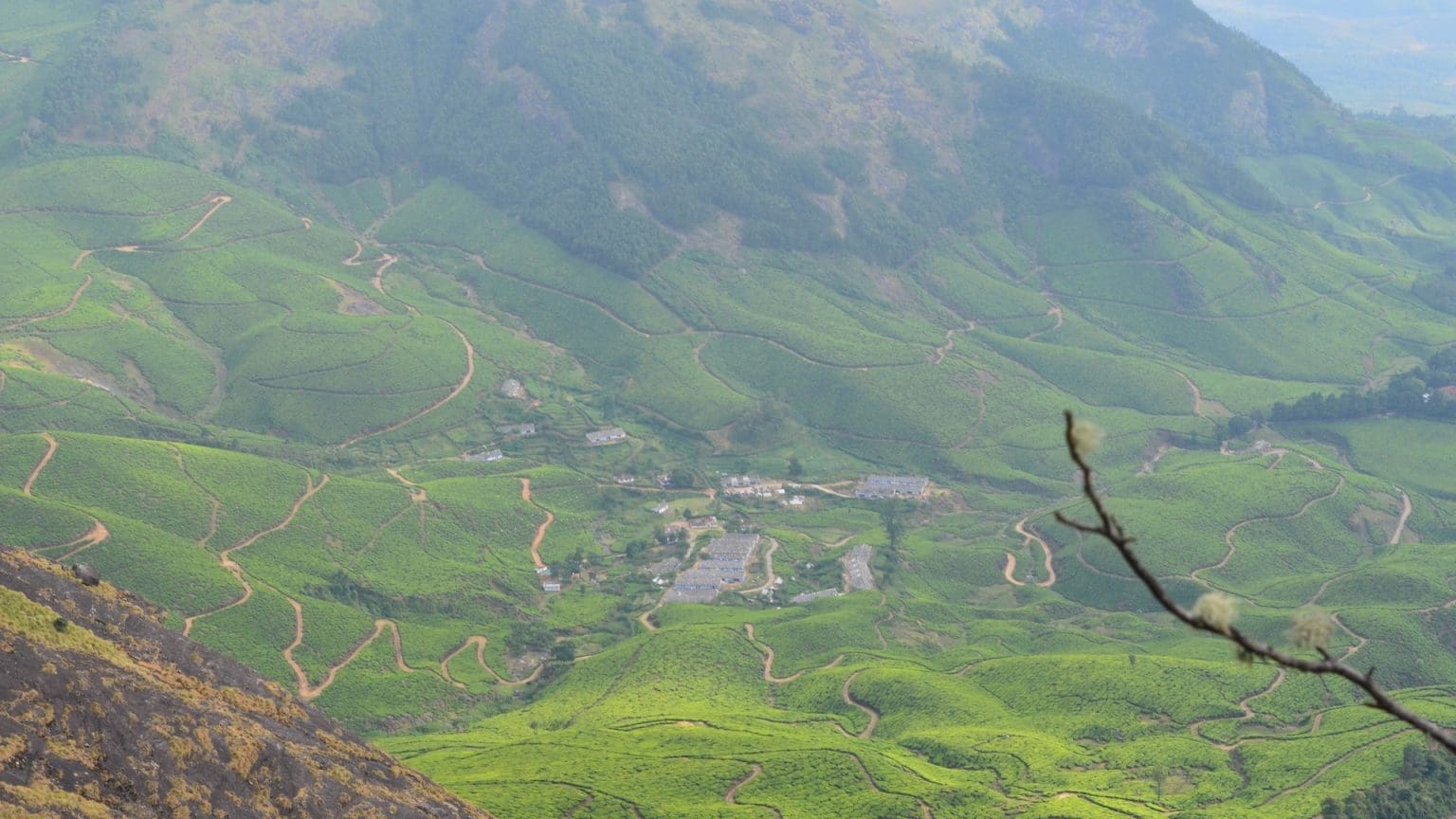 Munnar Trekking-Top 10 Experiences To Unleash Your Adventurous Spirit ...