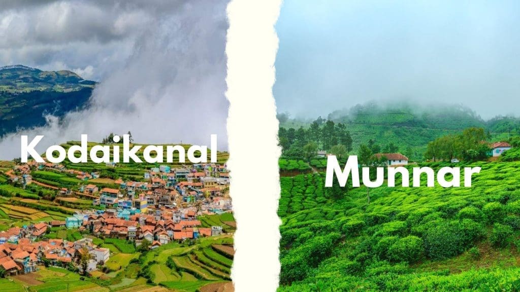 Kodaikanal Vs Munnar: A Brief Guide To Help You Pick Right – Iris Holidays