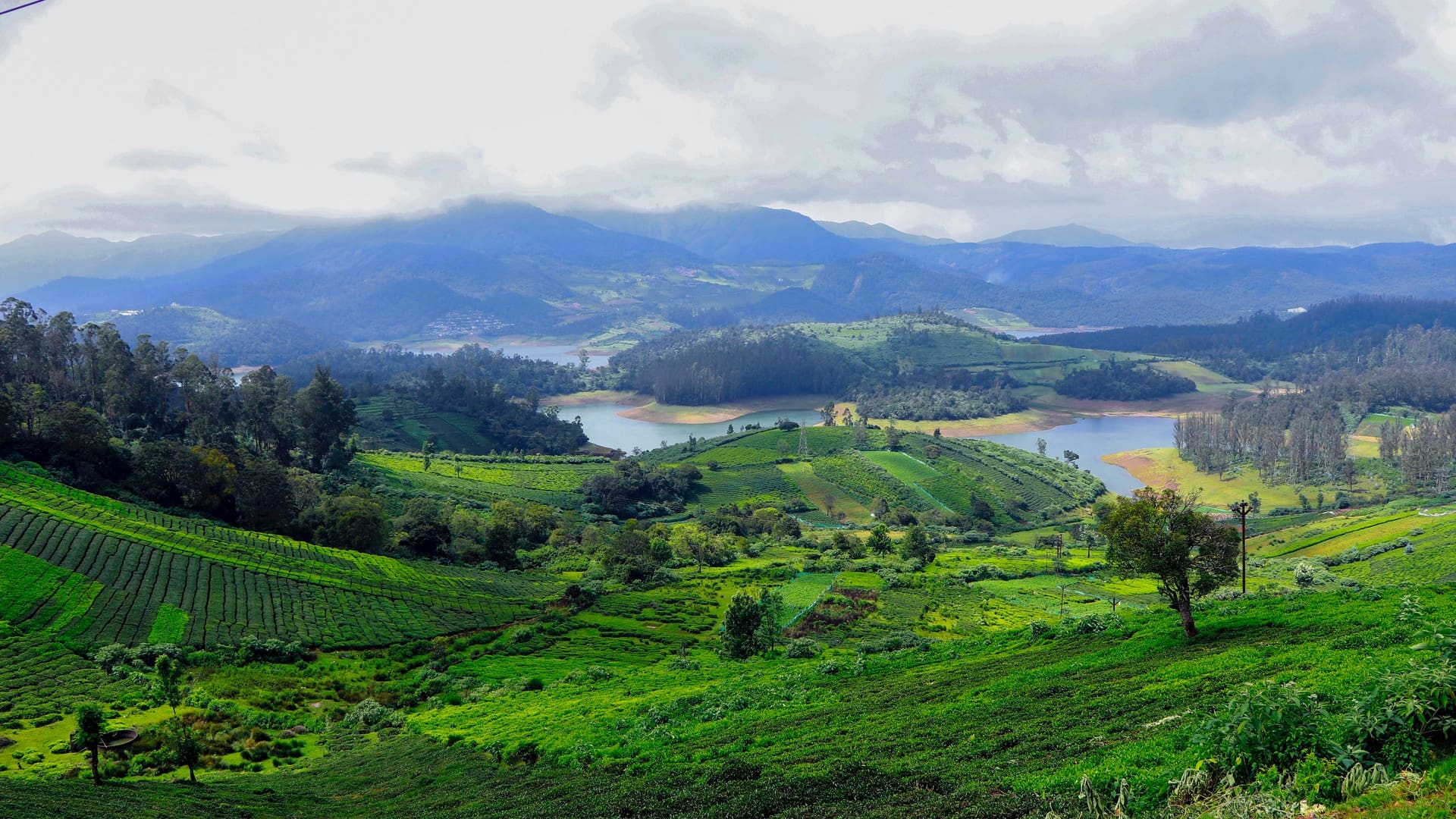 10 Best Things To Do In Ooty, The Queen Of Hills! – Iris Holidays