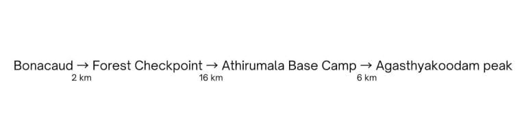 Agasthyakoodam Trek Guide-Booking, Distance And Difficulty – Iris Holidays