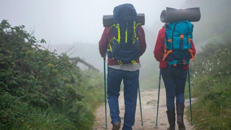 Agasthyakoodam Trek Guide-Booking, Distance And Difficulty – Iris Holidays