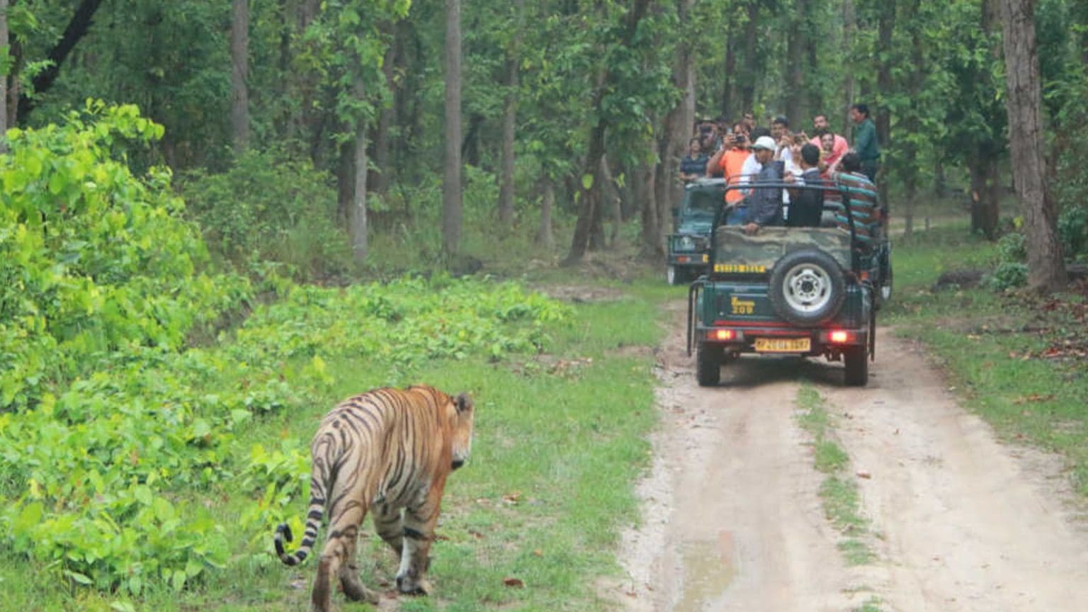 Bandipur National Park Guide- Tickets, Photos, Timings And Map – Iris ...