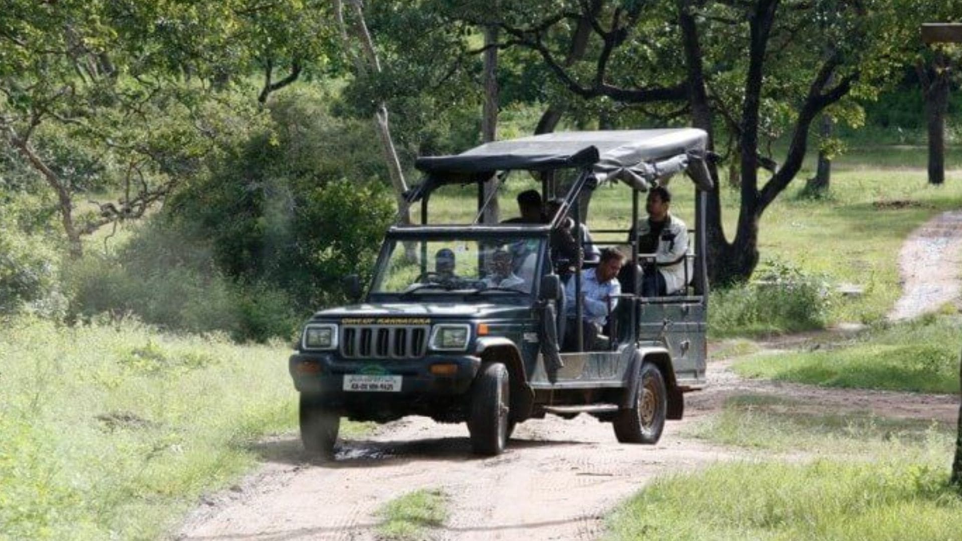 Bandipur National Park Guide- Tickets, Photos, Timings And Map – Iris Holidays