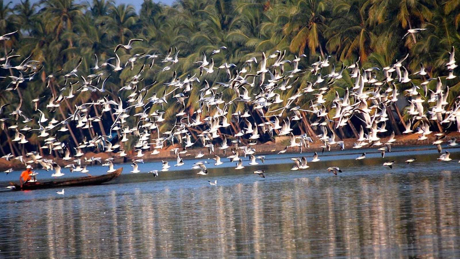 Top 10 Places To Visit In Kozhikode – Iris Holidays
