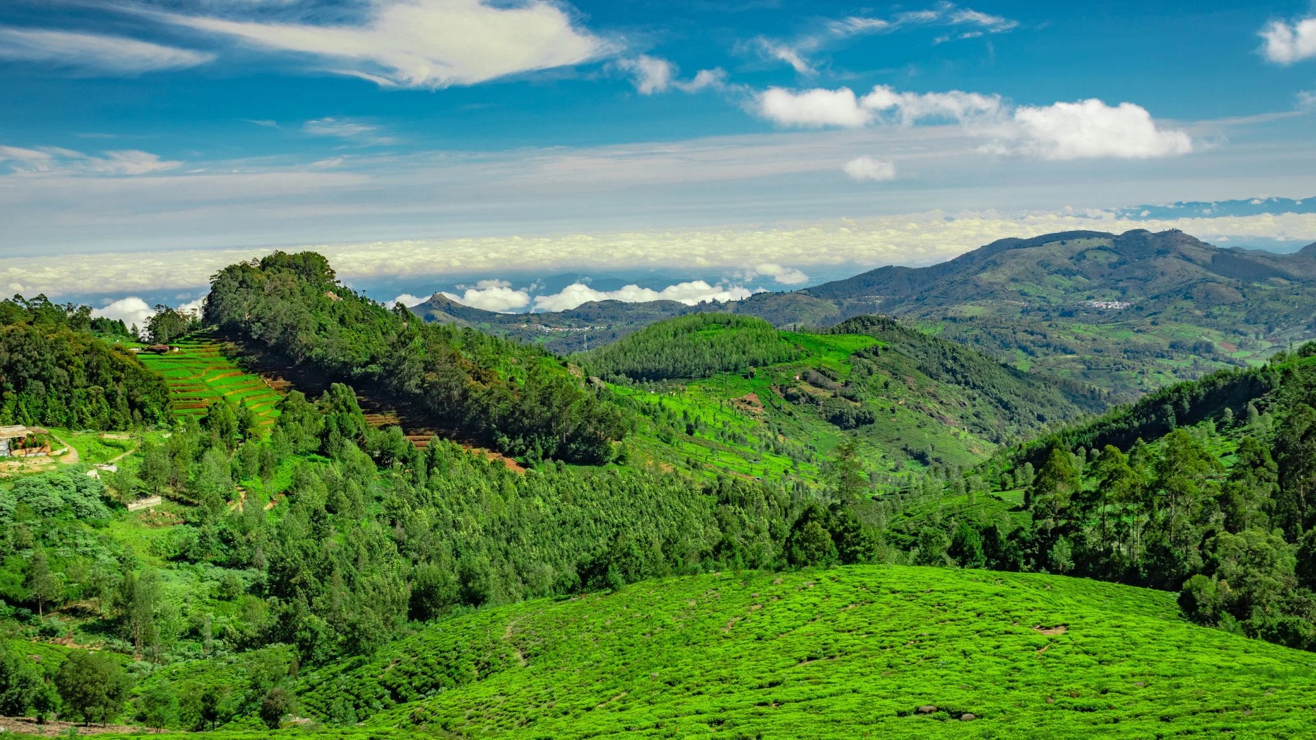 16 Best Vagamon Tourism Destination To Visit This Year – Iris Holidays