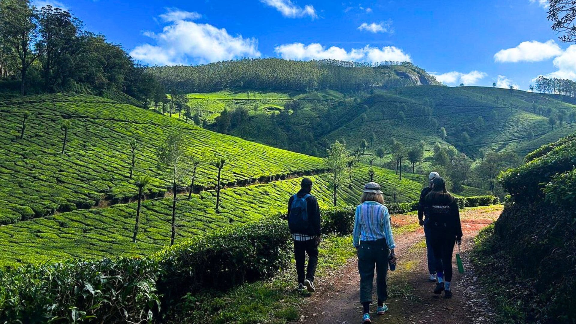 Lockhart Gap View Point Munnar- Activities & Attractions – Iris Holidays