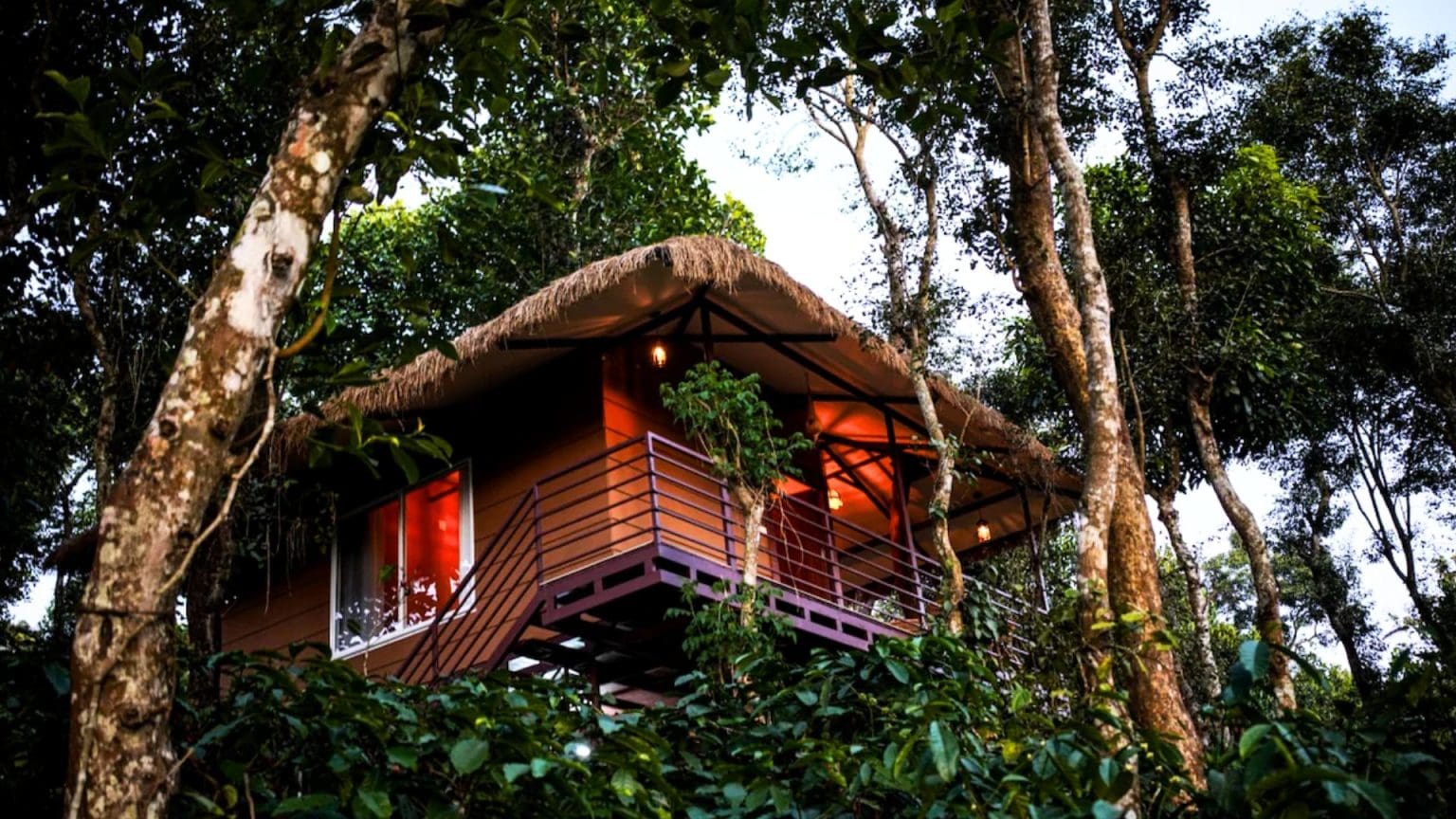Top 5 Treehouses In Wayanad For A Magical Stay Amid Nature – Iris Holidays